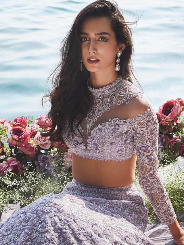 Modern Sheer Blouse Designs for Wedding - Designer Blouse