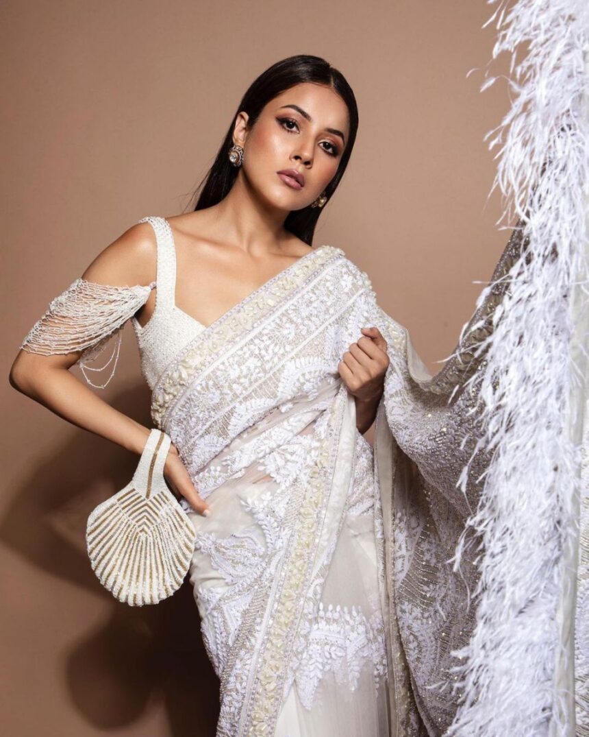 Top 20 Fancy Blouse Sleeves Designs for a Stylish Look