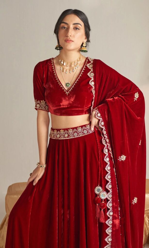 Top 15 Velvet Saree Designs to Elevate Your Ethnic Look | Designerblouse