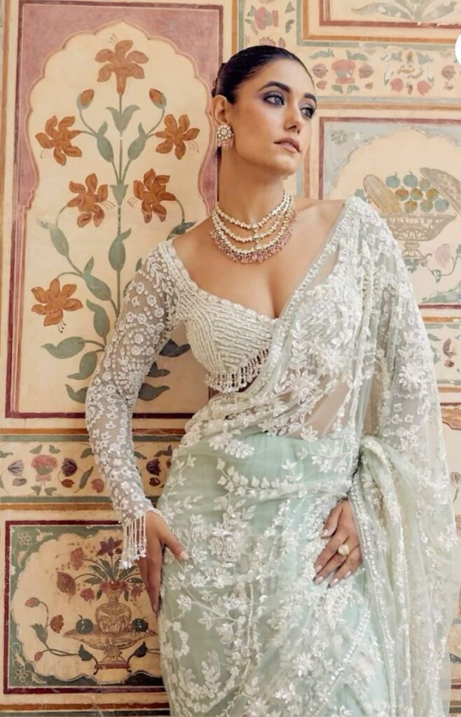 Top 20 Stunning Blouse Designs That Perfectly Match Net Sarees